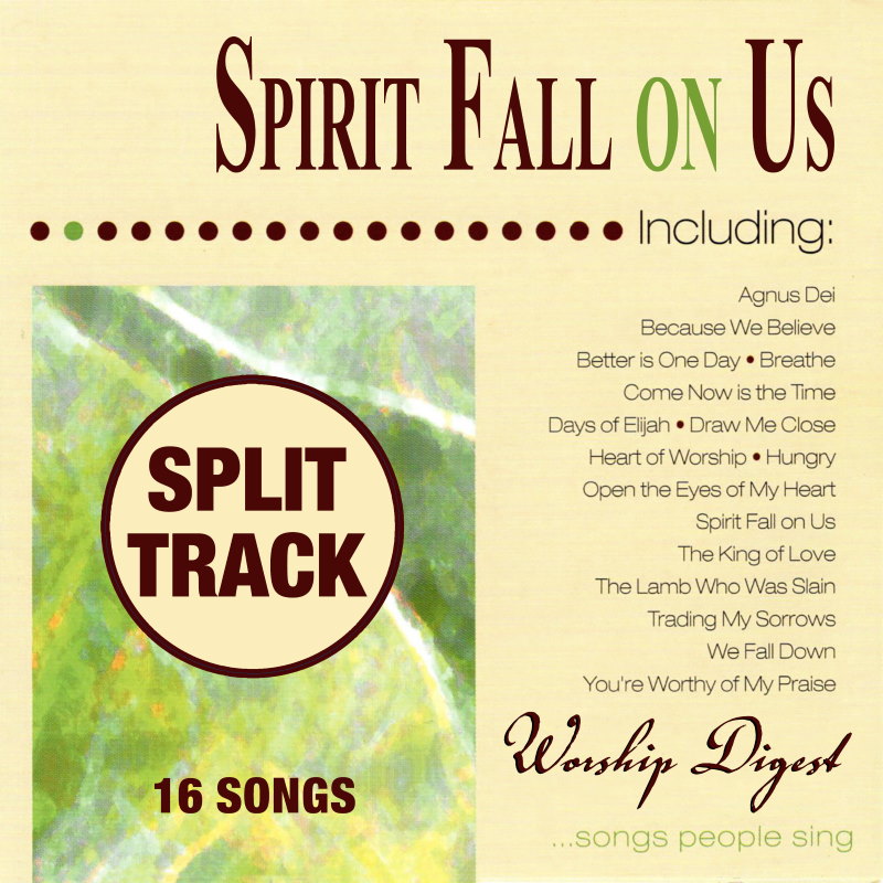 Spirit Fall On Us (Whole Hearted Worship) [Split Tracks] – MYPRAISE.STORE